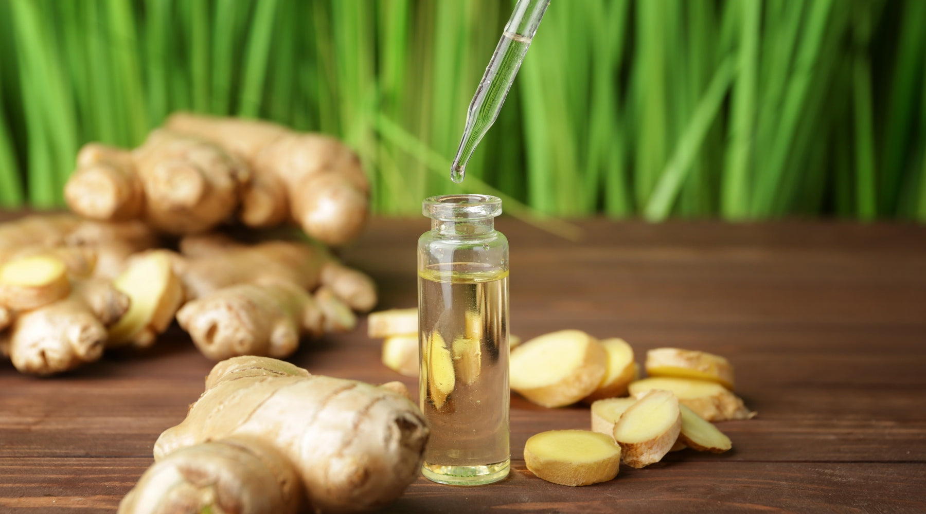 Ginger – Simply Bee